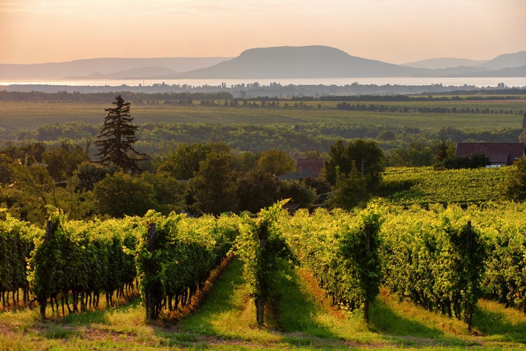 5 things to do around the Lake Balaton - Stipendium Hungaricum